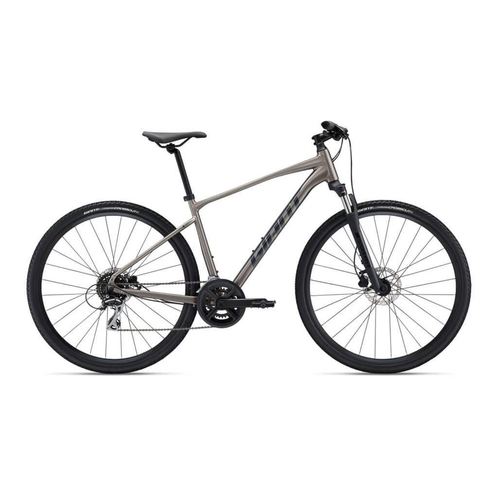 GIANT Roam 3 Disc 28" (2024) - Action Bikes